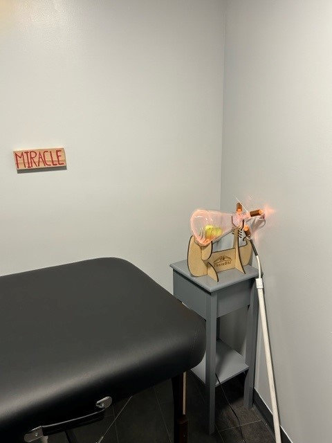 Plasma Energy Med Bed System in Northern Indiana at Scalar Wave Therapy ...